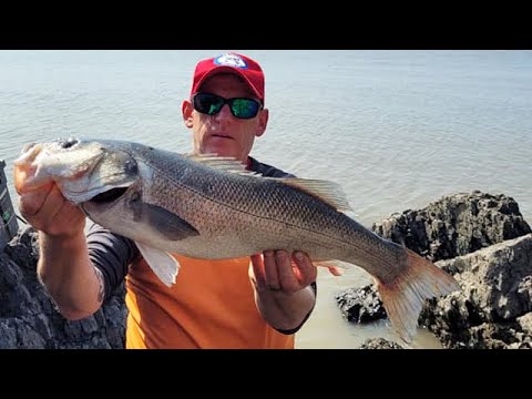 Sea Fishing Sand Point Bass and Ray - Bristol Channel, North Somerset ...