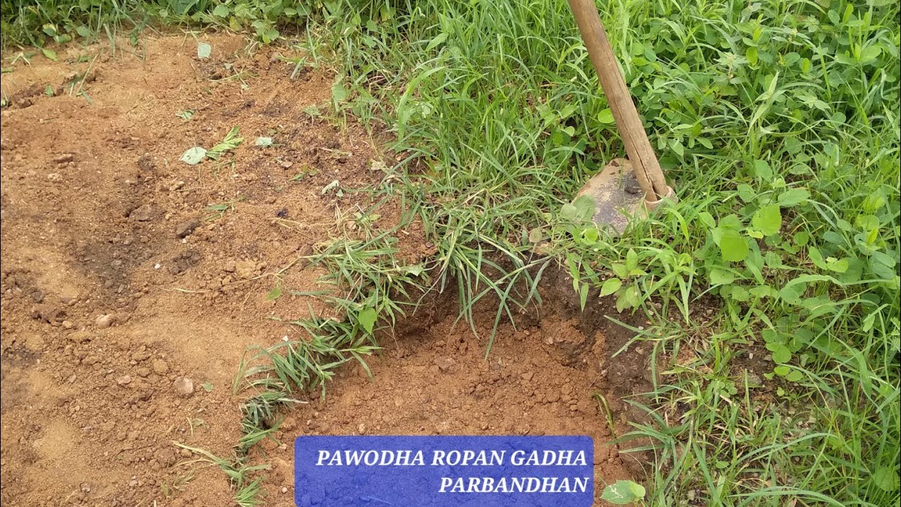 PAWDHA ROPAN GADHA PARBANDHAN - YouTube