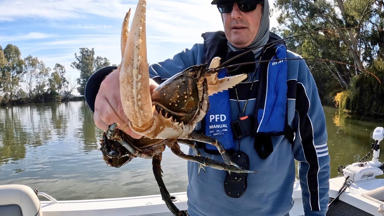 Monster Crayfish Fishing - YouTube