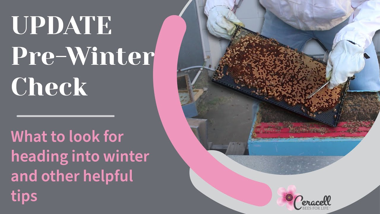 Pre - Winter Check Update - YouTube