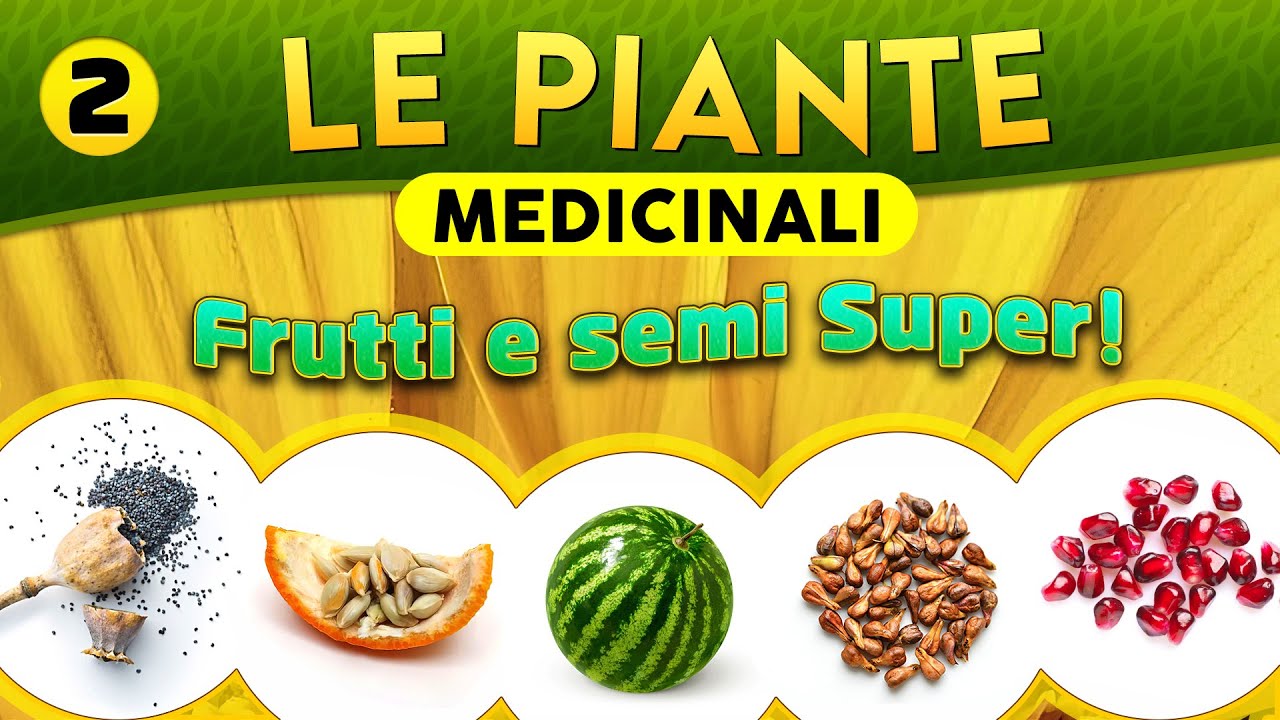Le Piante medicinali (PARTE 2): frutti e semi super! Puntata 113 - YouTube