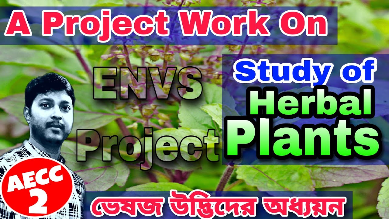 ভেষজ উদ্ভিদের অধ্যয়ন | Study of herbal plants | medicinal plants ...