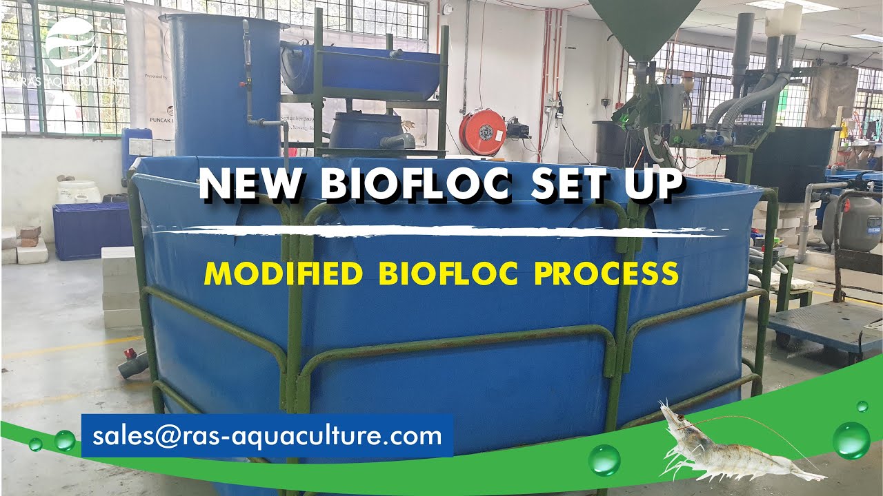 New Biofloc Setup with a Hybrid RAS Technology - YouTube