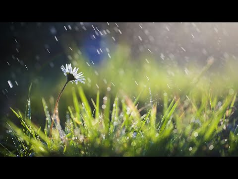 Rain Iz Emotion☔☔# Rainy day💚💚