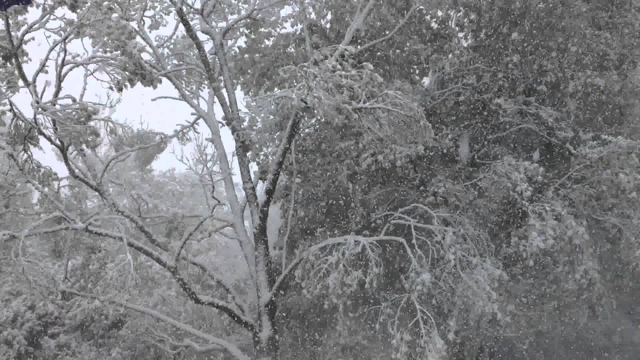 Mount Wilson snow - YouTube