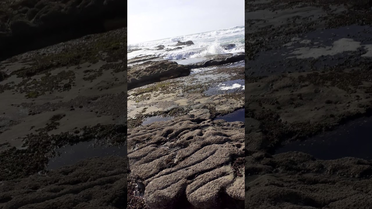 Medo do mar - YouTube