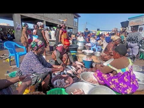 INSIDE FISH MARKET IN GHANA ELMINA