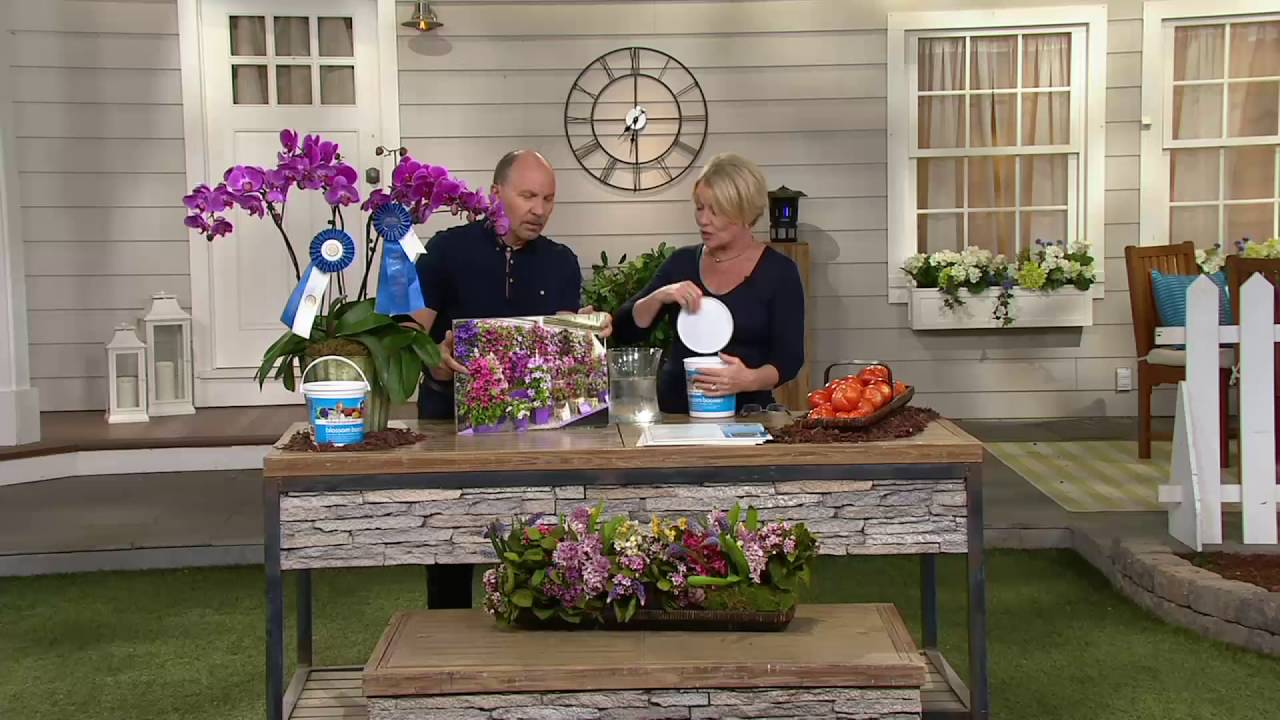 Richard Jackson's 3lb Blossom Booster Plant Food Concentrate on QVC ...