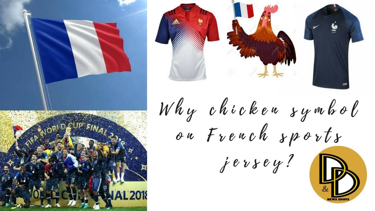 The Brain Diet Talks #1 | Why there's a chicken symbol on French sports ...
