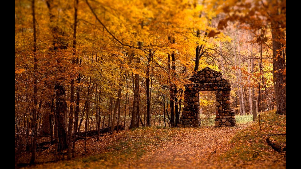 MagiCXbeats - Funkadelic (Extended Version) - YouTube