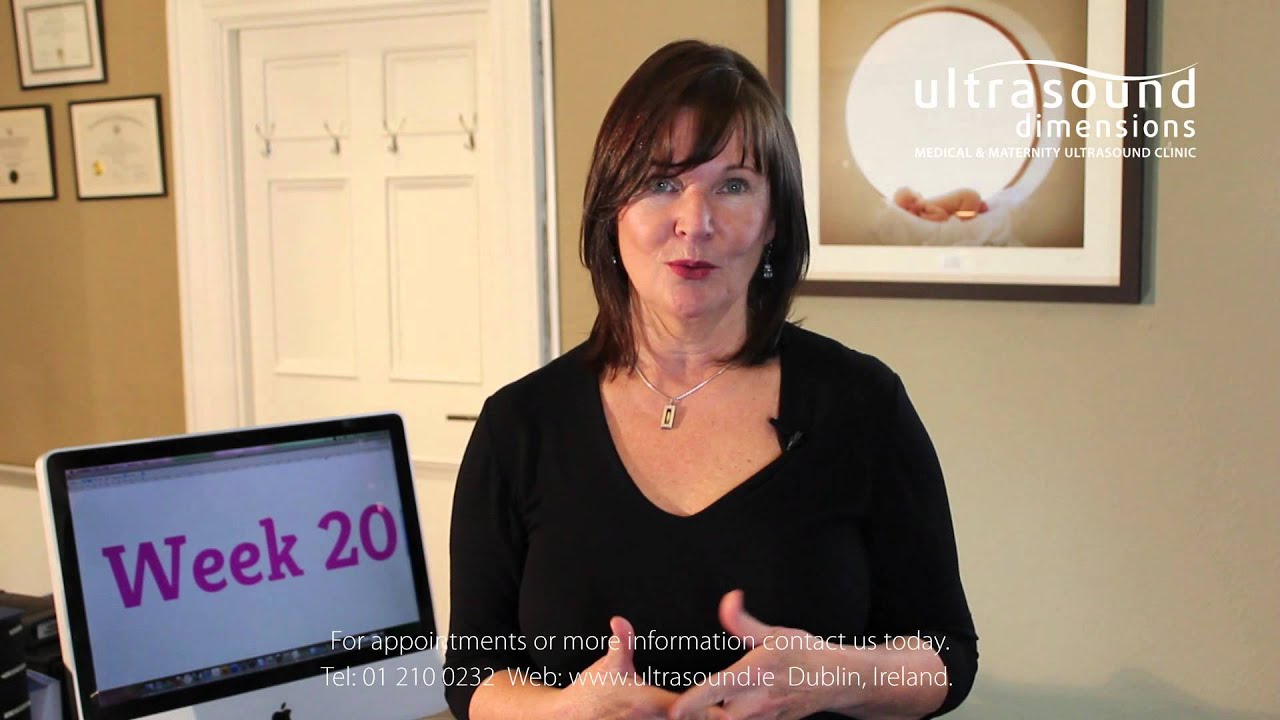 20 Weeks Pregnant - Your 20th Week Of Pregnancy - YouTube