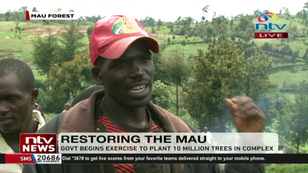Govt. begins exercise to plant 10M trees in Mau complex - YouTube