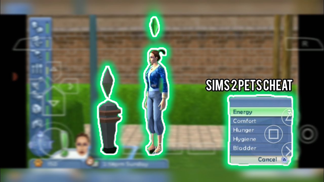 sims 2 pets ppsspp cheat menu - YouTube