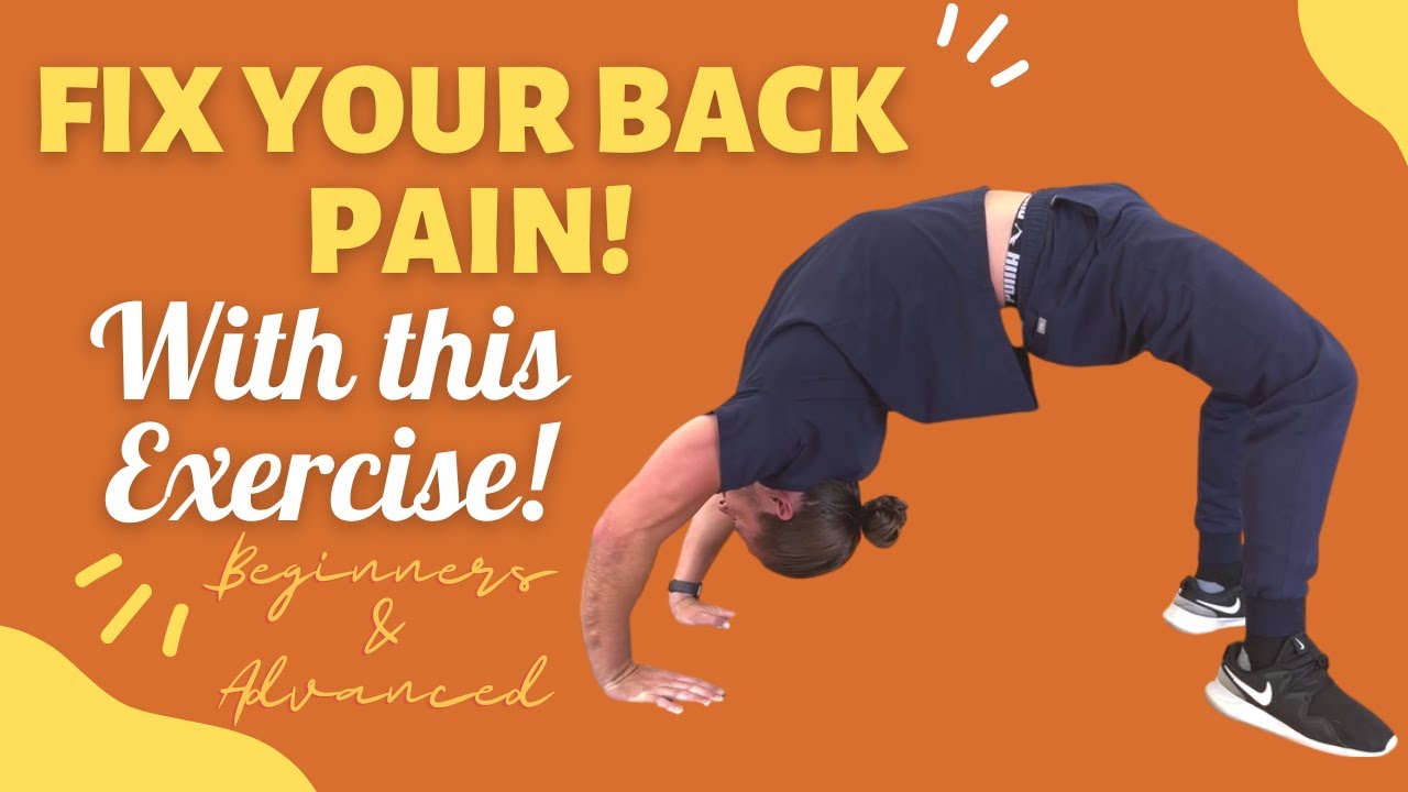 Low Back Pain Relief/Mobility Exercises for Beginners & Advanced! - YouTube