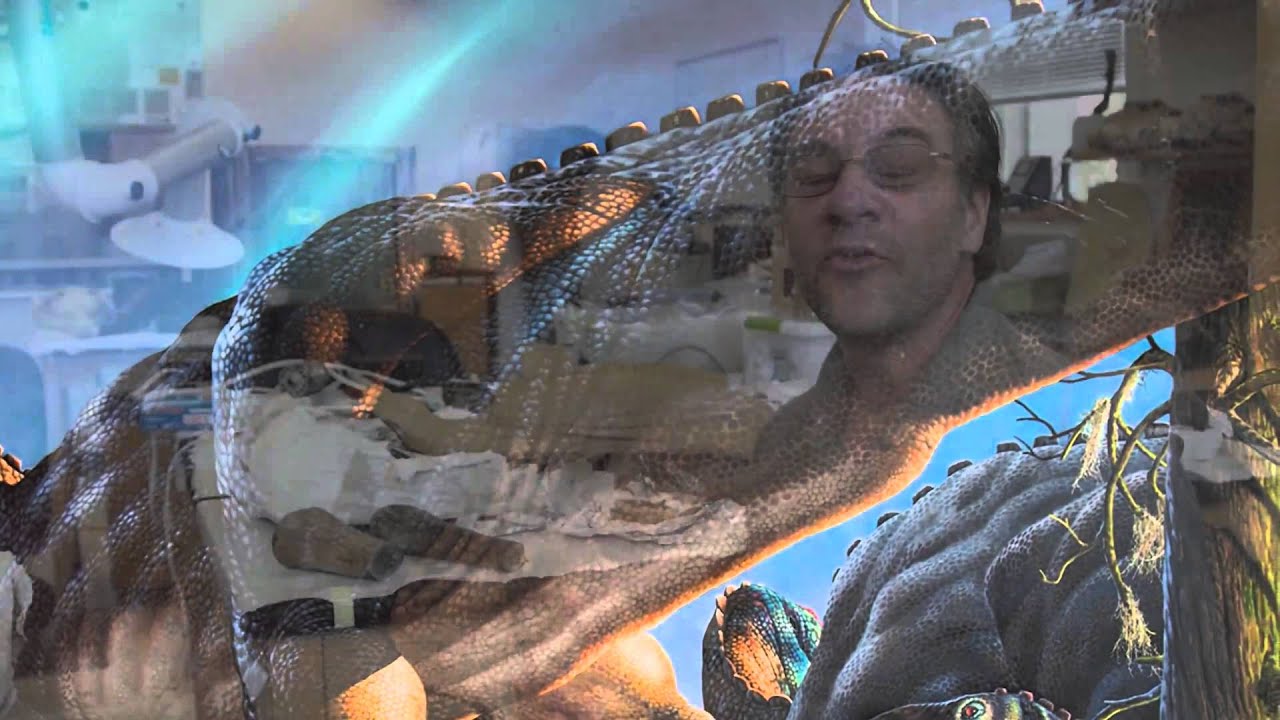 Researchers Discover Lost World of Cold Weather Dinosaurs - YouTube
