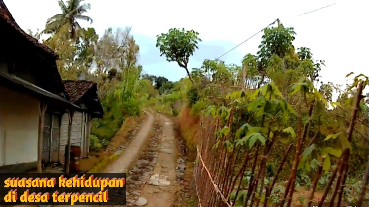Kehidupan di pedesaan terpencil pacitan jawa timur - YouTube
