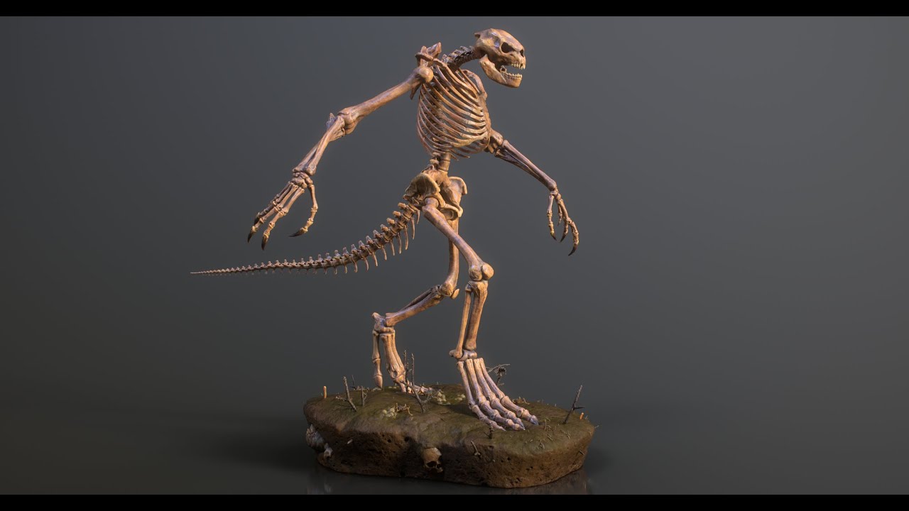 Lizard skeleton (TauCeti: Unknown Origin) - YouTube