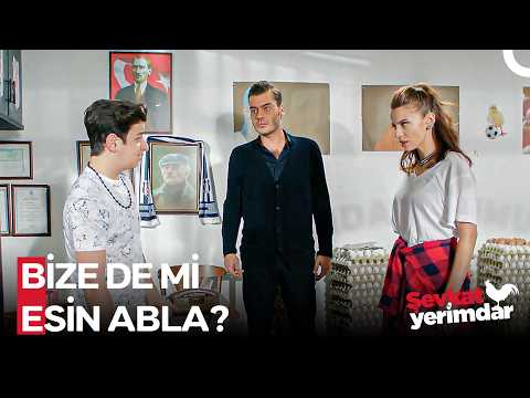 Tartışan Çiftlerin Arasına Çırak Girmezmiş - Şevkat Yerimdar