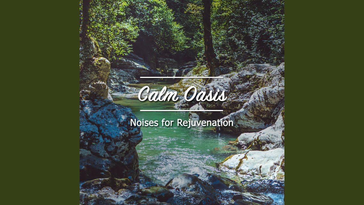 Zen Delta Waves - YouTube Music