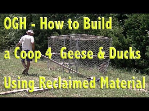 OGH - How I built our Duck and Geese Coop with Little to No Cost - YouTube