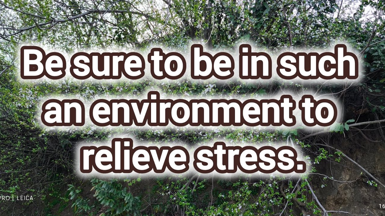 Be sure to be in such an environment to relieve stress. It will do you ...