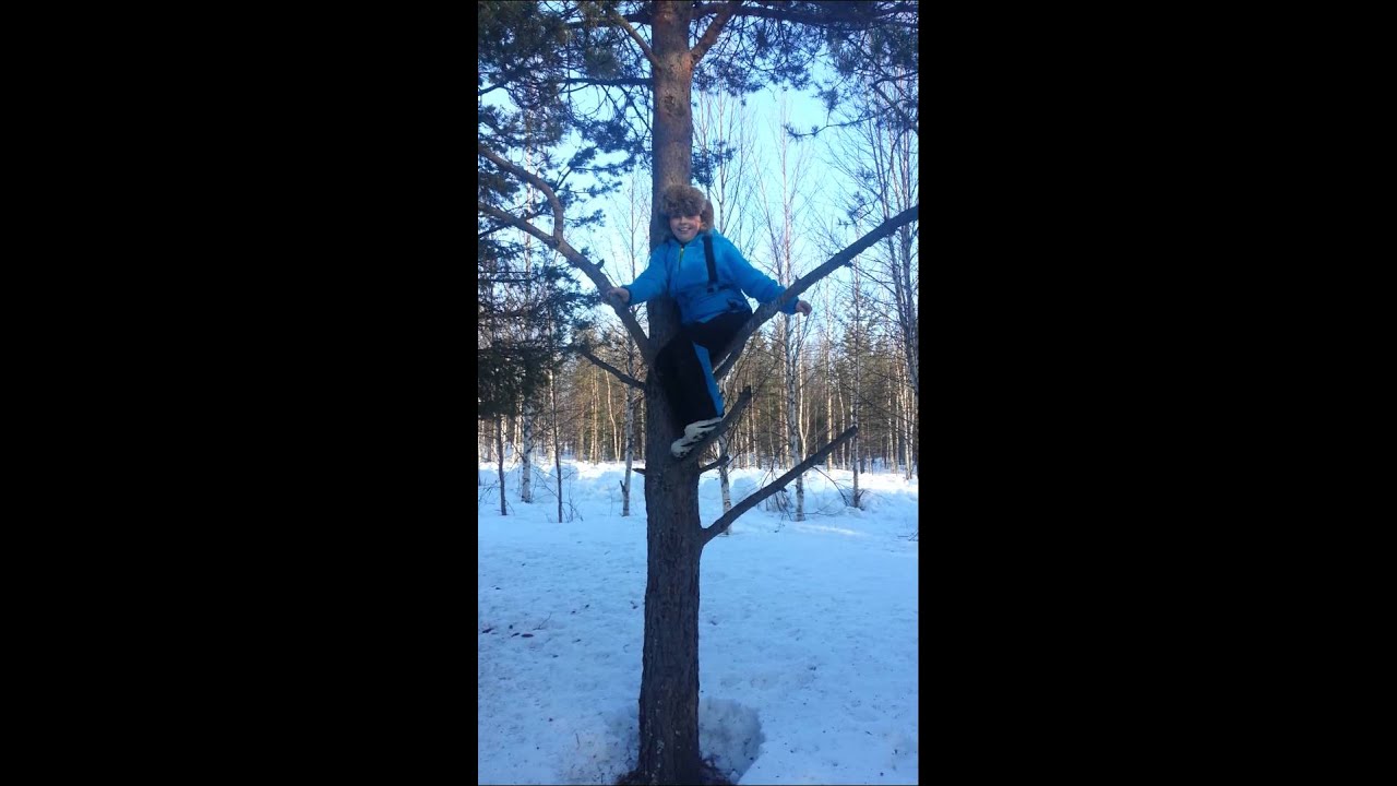 Jumping off a tree - YouTube