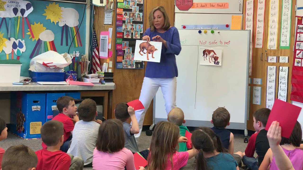 Using Stop, Look & Paws Dog Safety Teacher Kit to help Kids Avoid Dog ...