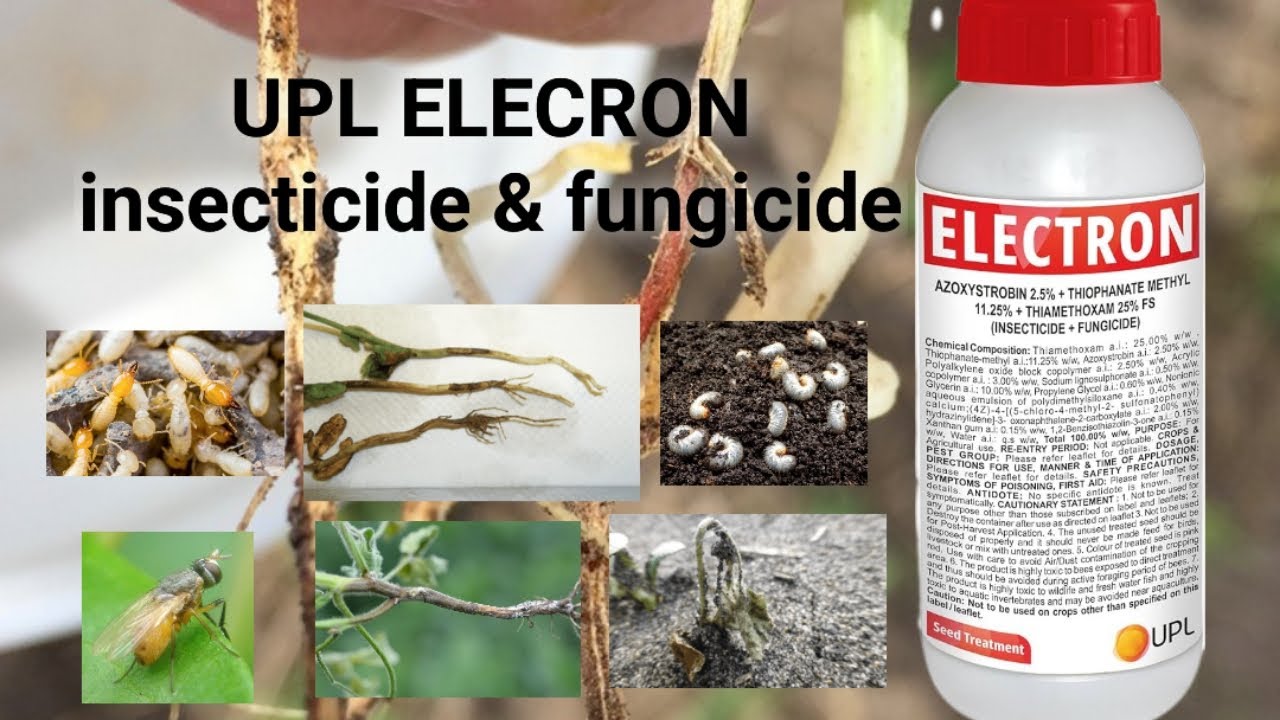 UPL ELECTRON Fungicide & Insecticide | Azoxystrobin 2.5 +Thiophanate ...