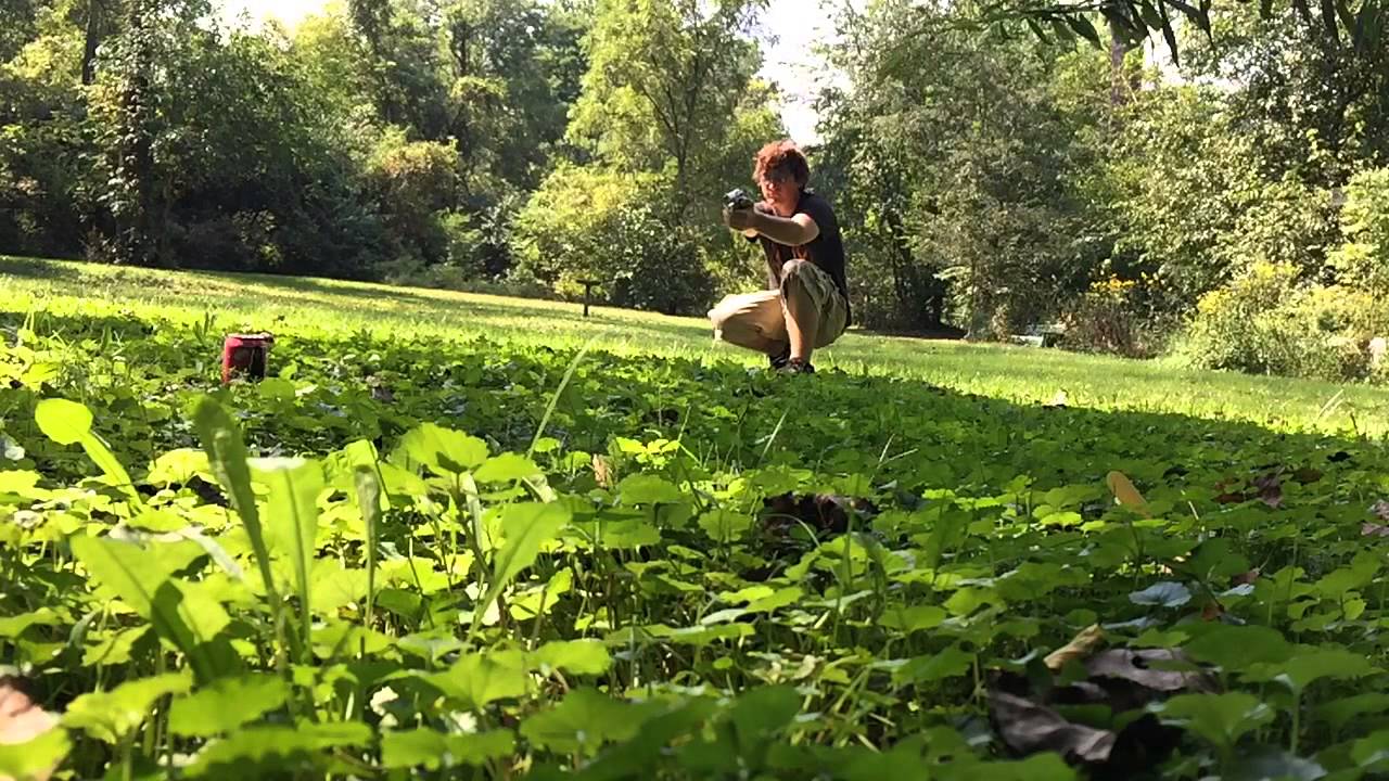 Shooting Pop in Slow Motion - YouTube