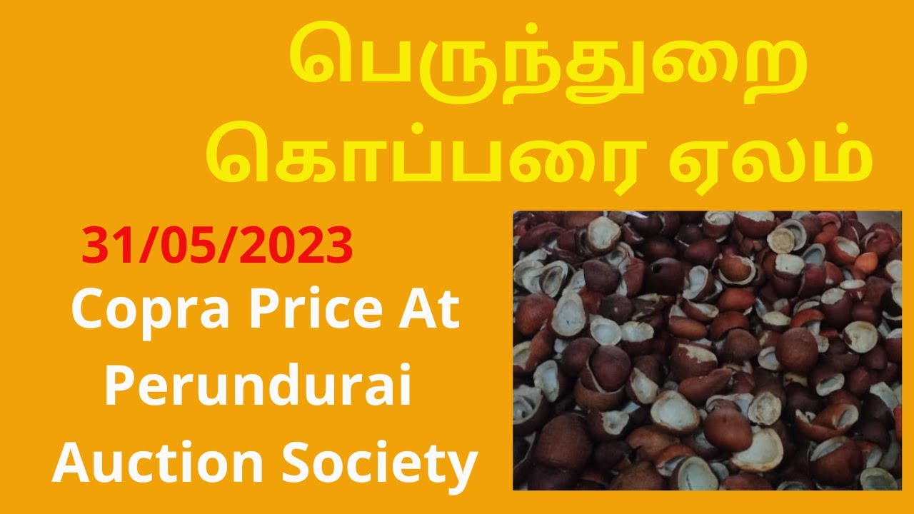 Perundurai Copra Rate | Coconut Copra Without Sulphur Price Report ...