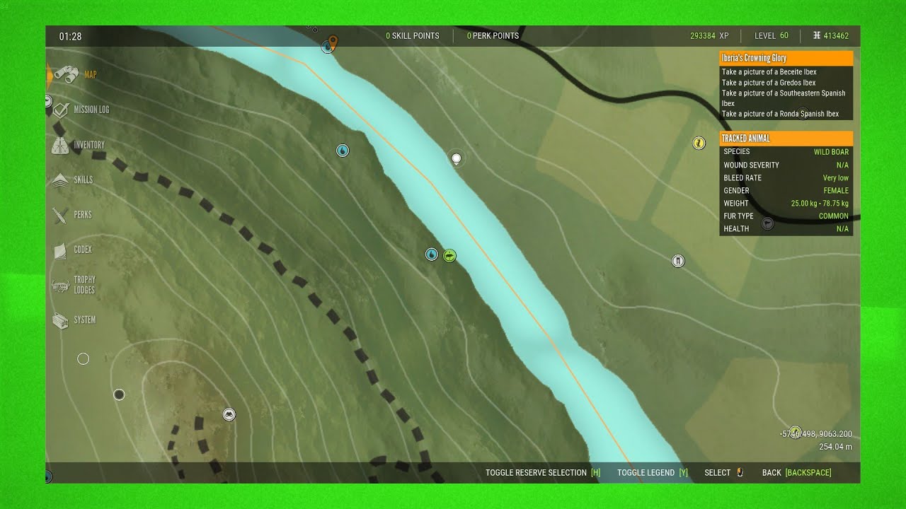 Diamond!! First Iberian Wolf !! COTW - YouTube