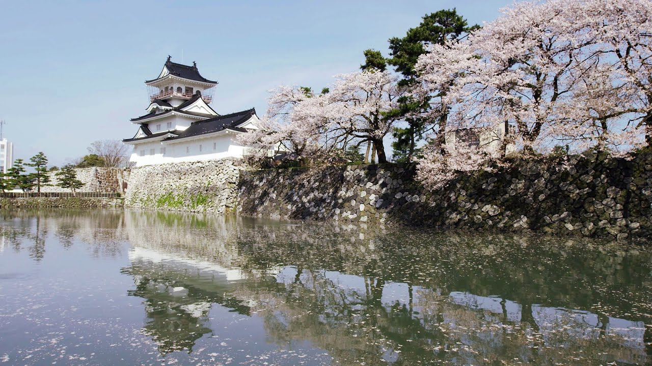 [ 4K Ultra HD ]富山の桜 Cherry Blossoms in TOYAMA (Shot on RED EPIC) - YouTube