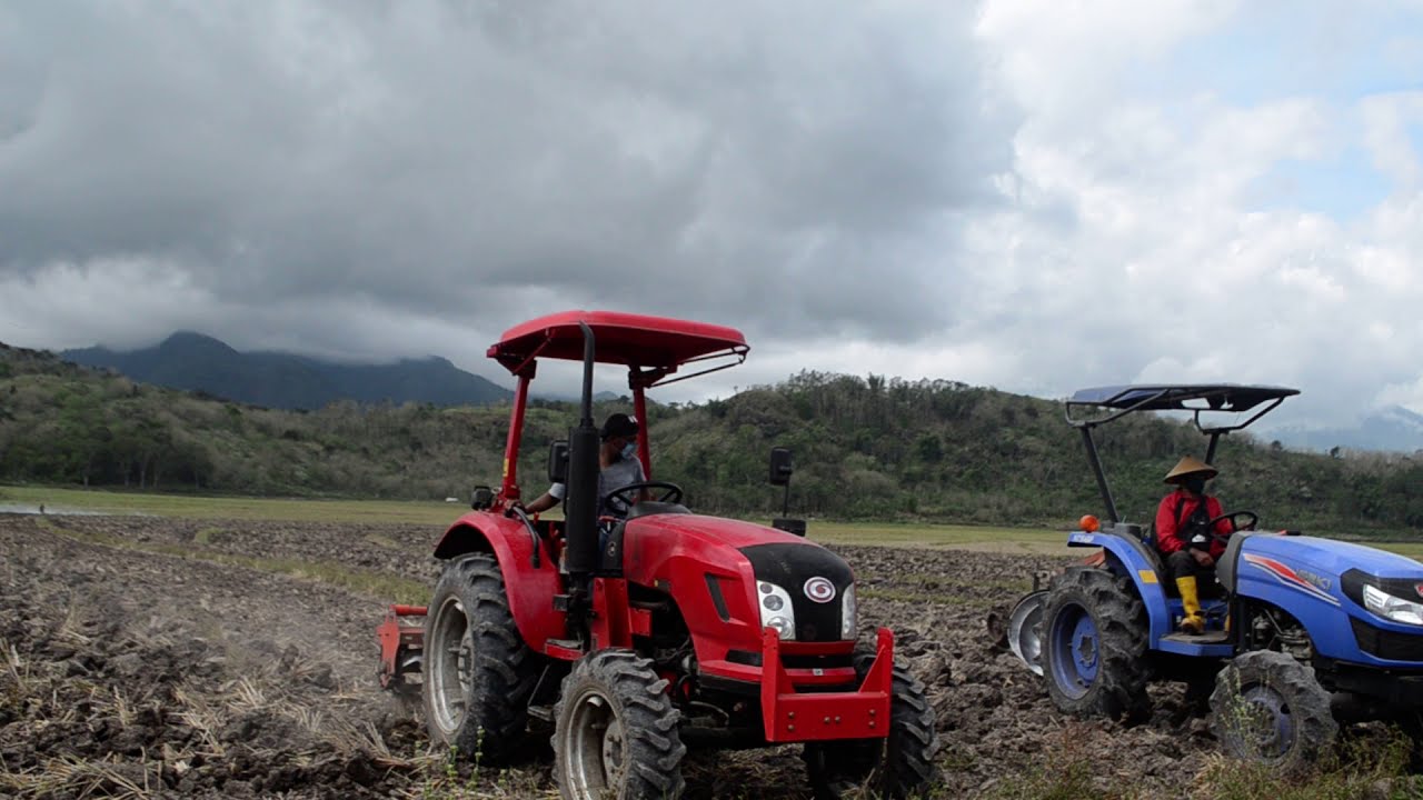 TRAKTOR RODA EMPAT ISEKI FERGUSON DAN KUBOTA BERSAING BAJAK SAWAH - YouTube