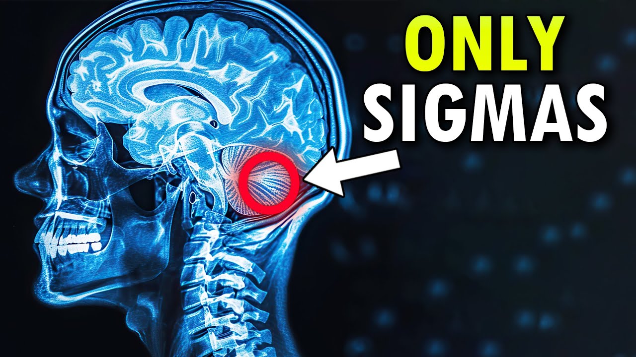 Why Sigma Males Are The Best Problem Solvers - YouTube