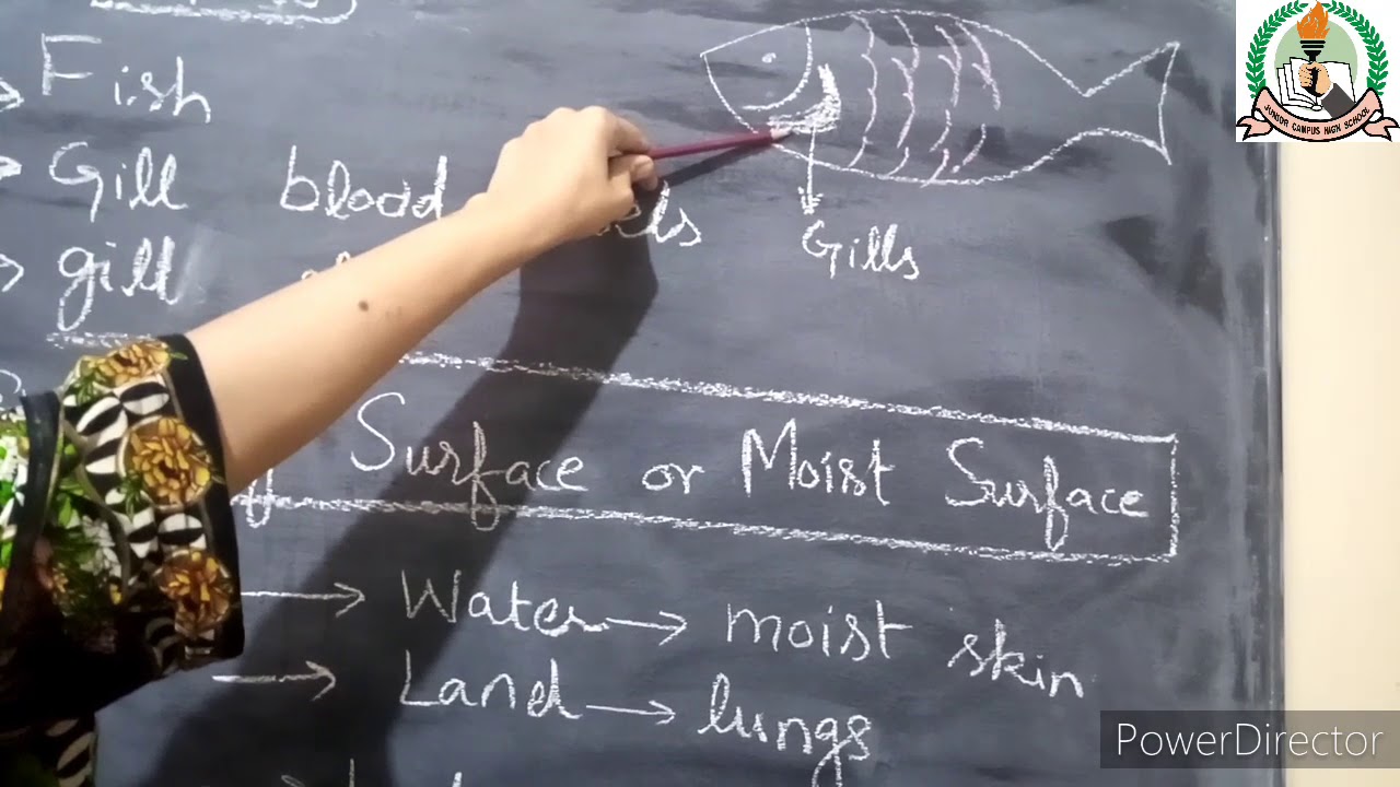 class 5 G Science lecture 6 - YouTube