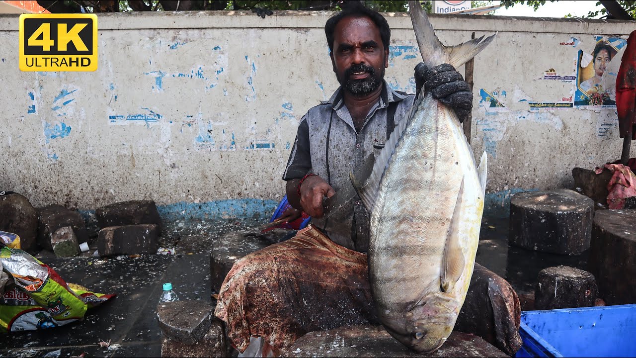PAARAI FISH/TREVALLY FISH CUTTING | 4K VIDEO | KASIMEDU | TAMIL NADU ...