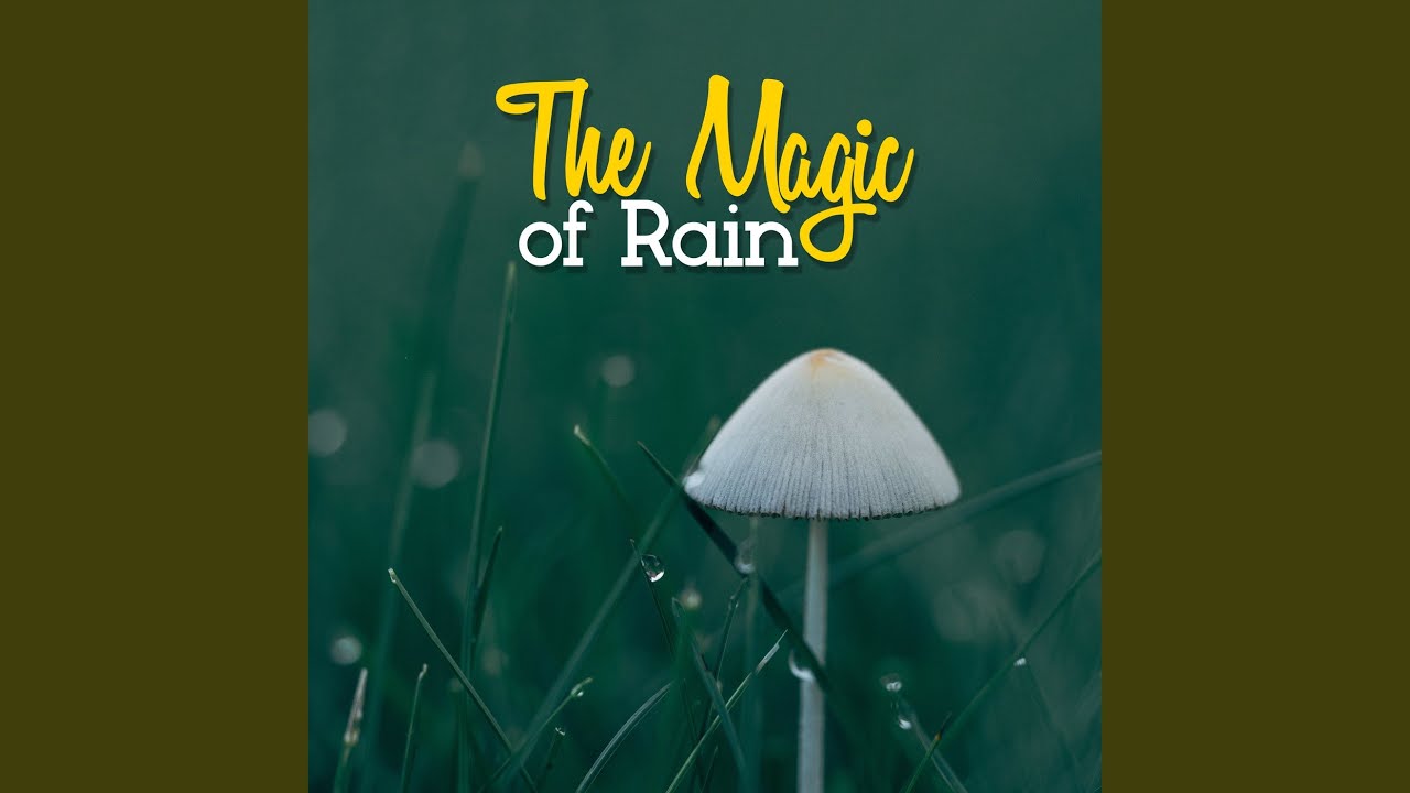 The Rain Point - YouTube