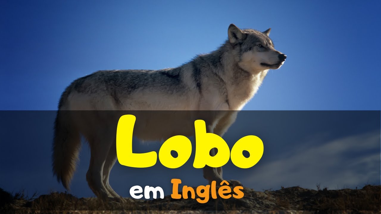 🐺 Como dizer LOBO em Inglês #wolf - YouTube