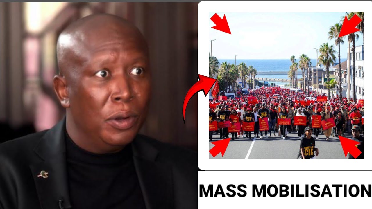 Thousands of EFF Supporters Rally Outside Court Ahead of Malema ...