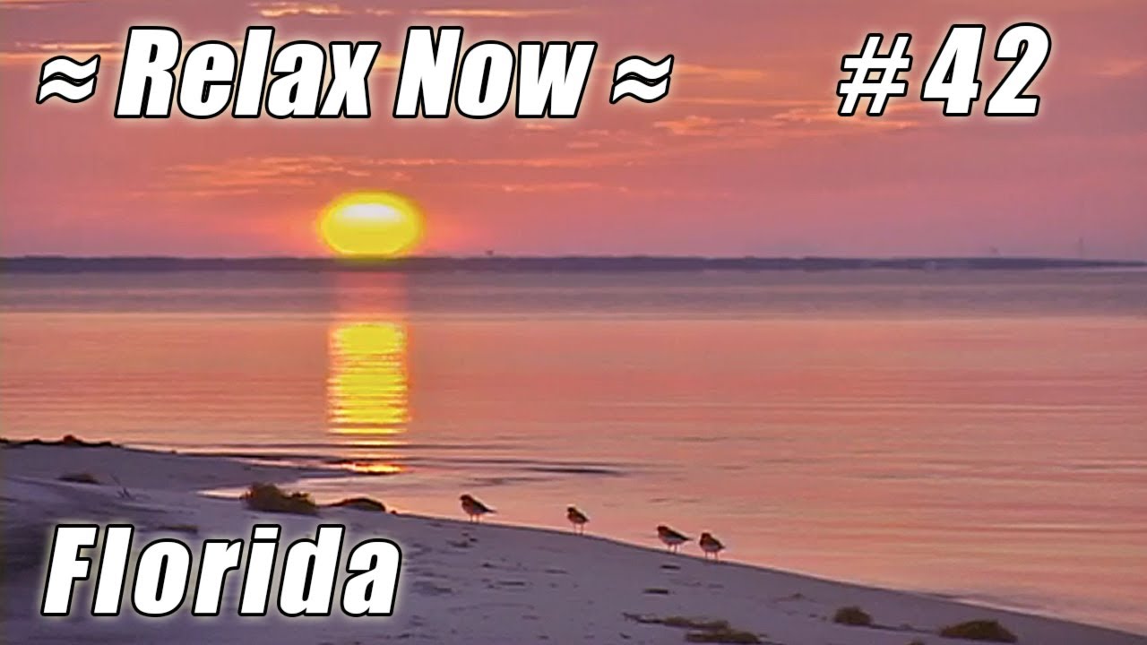 Relax. ST. GEORGE ISLAND State Park Beach #41 Florida Beaches Ocean ...