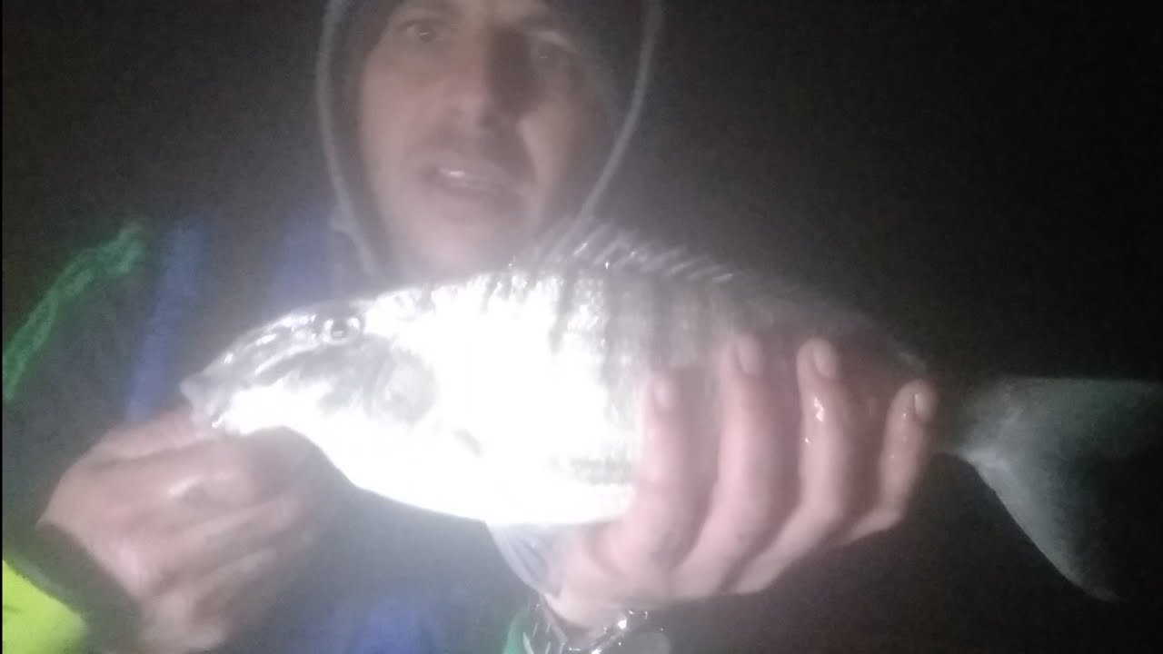 MORMORA BIG A SURFCASTING/ HERRERA GRANDE UN SURFCASTING/GRAND MORMORA ...