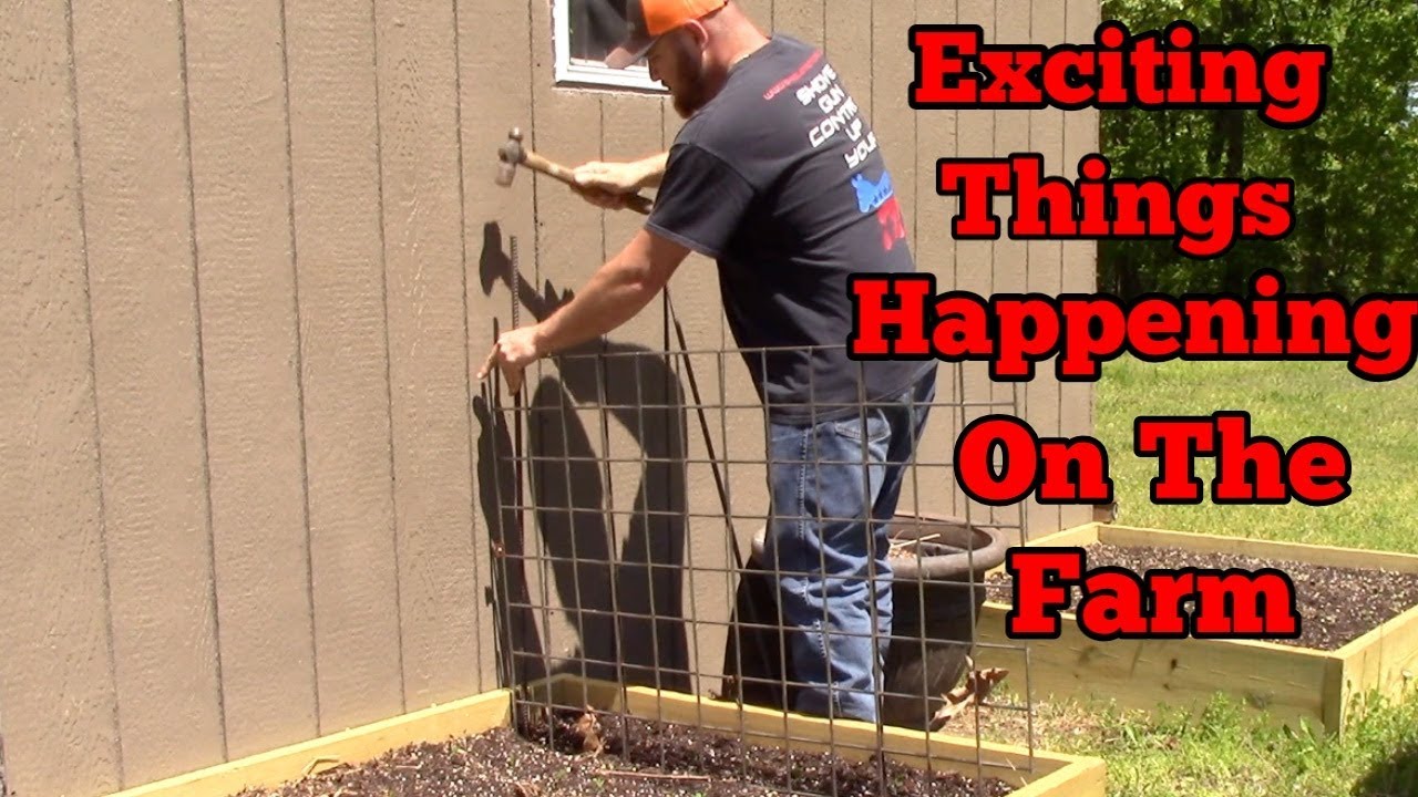 Exciting Things Happening On Hidden Heights Farm - YouTube