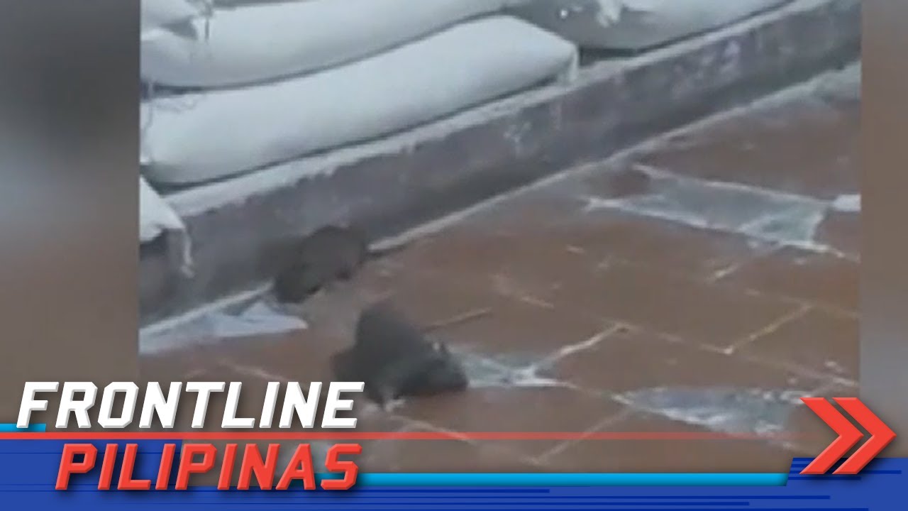 Dugyot na siopao factory sa Marikina, inireklamo - YouTube