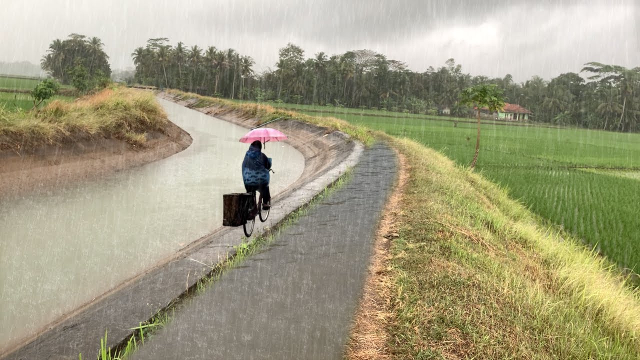Walking in the rain Great Thunder Wind in the village of Hening || Very ...