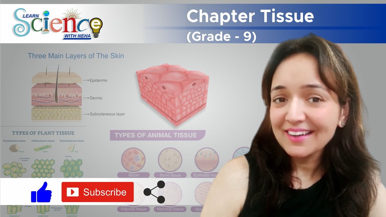 TISSUES - GRADE 9 I COMPLETE CHAPTER - QUESTION PAPER - SHORTCUTS - I ...