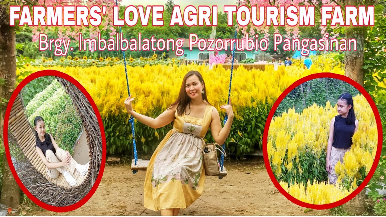 FARMERS' LOVE AGRI TOURISM FARM POZORRUBIO PANGASINAN #pangasinan # ...