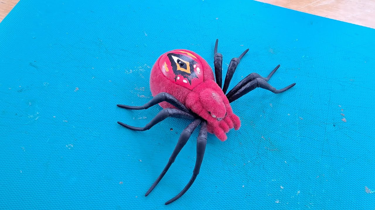 Peek inside the Character Options Wild Pets Toys Eyegore Spider - YouTube