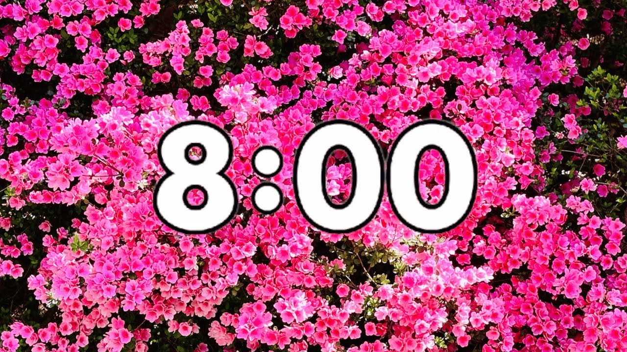 8 Minute Spring Countdown Timer - Calming Music - No ADS During ...