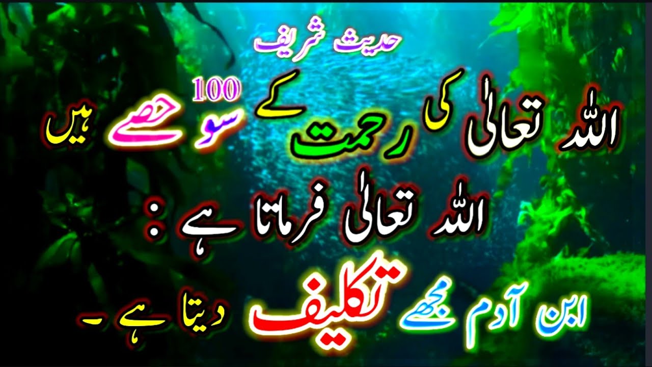 ALLAH KI REHMAT ️😍|hadees sharif |hadees shareef |hadees nabvi |hadees ...