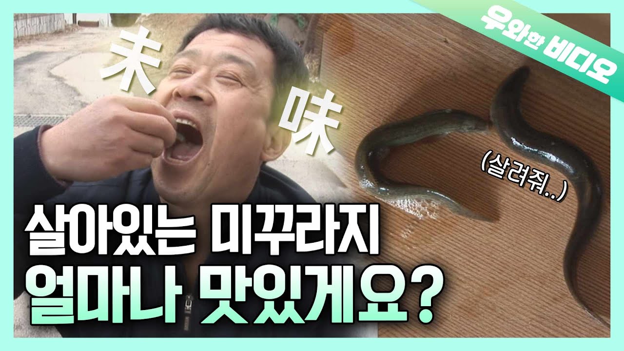 정인선 씨 내려와봐유! 미꾸라지는 생(生)으로 먹어야 제맛?!┃The Best Recipe for Mudfish Is ...